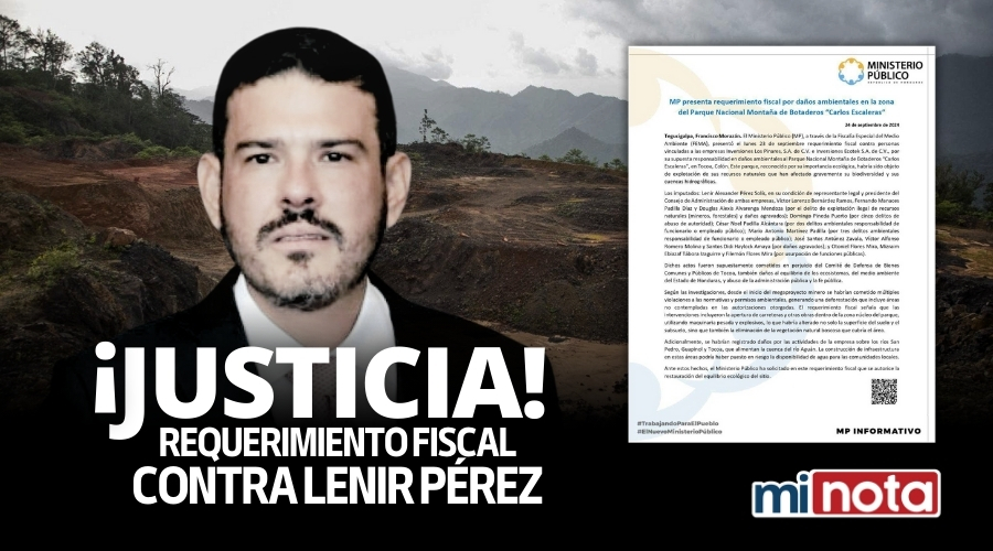 ¡Justicia! Requerimiento fiscal contra Lenir Pérez