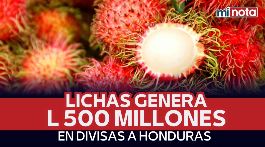 Lichas genera 500 millones de lempiras y potencia la economía rural ...
