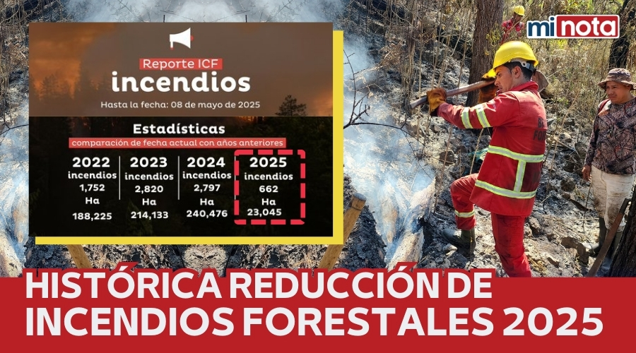 HISTÓRICA REDUCCIÓN DE INCENDIOS FORESTALES 2025 | Mi Nota
